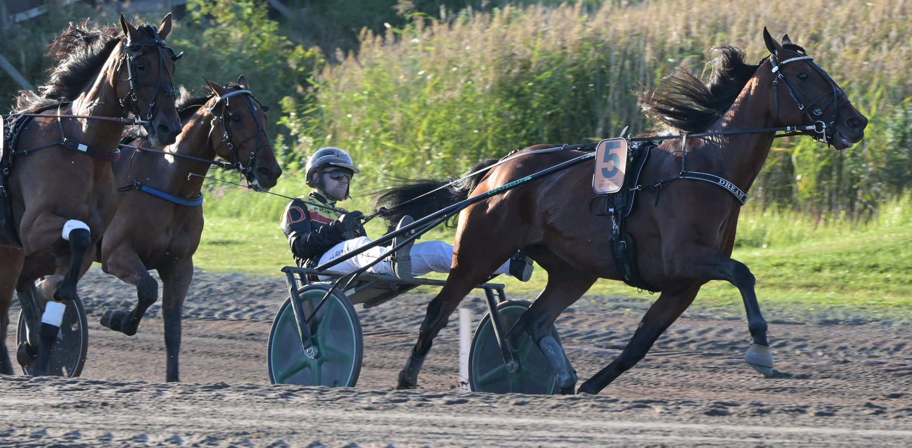 Mycket stort intresse för UET Grand Prix 2025