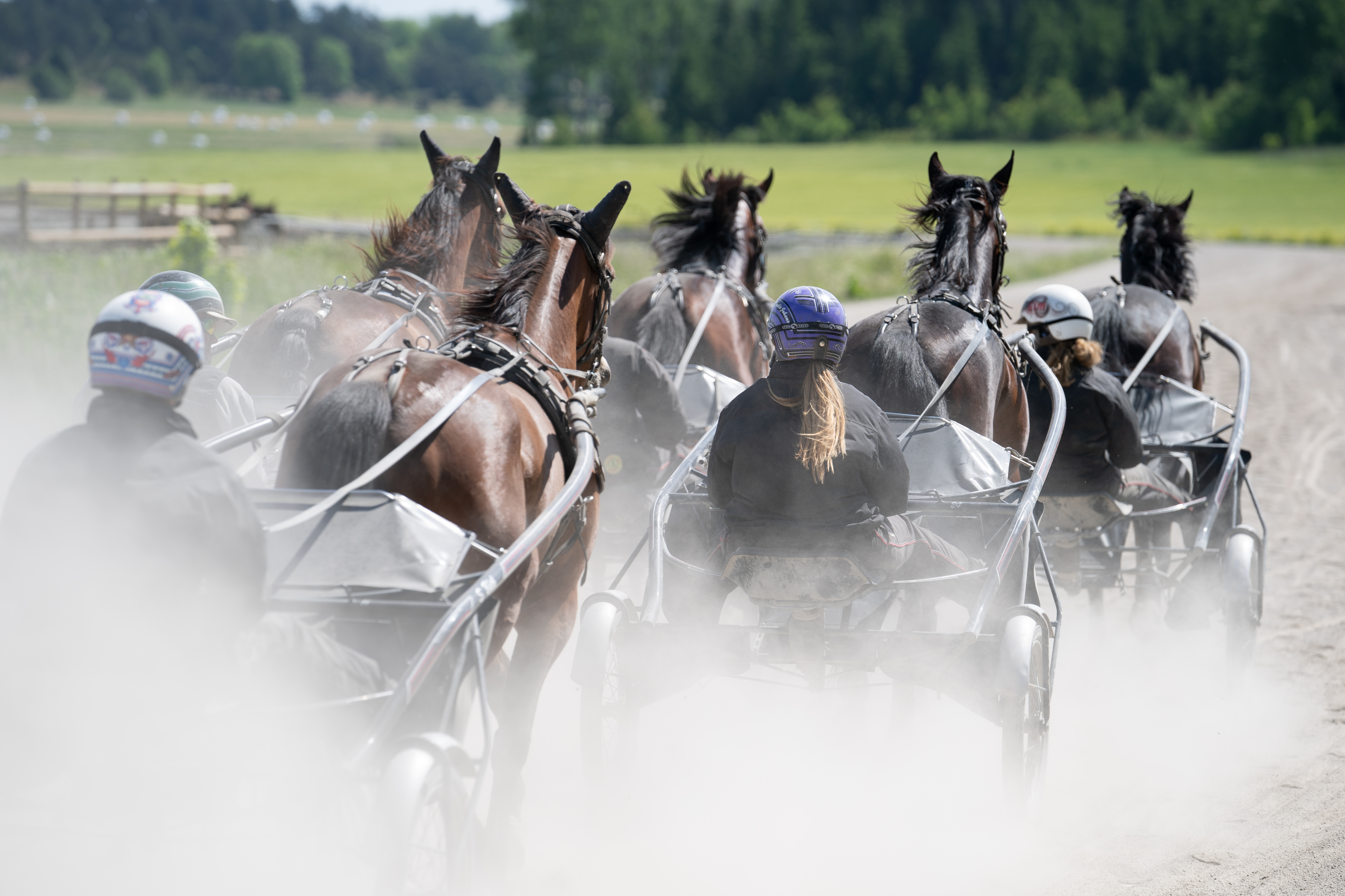 Så styrs den svenska travsporten