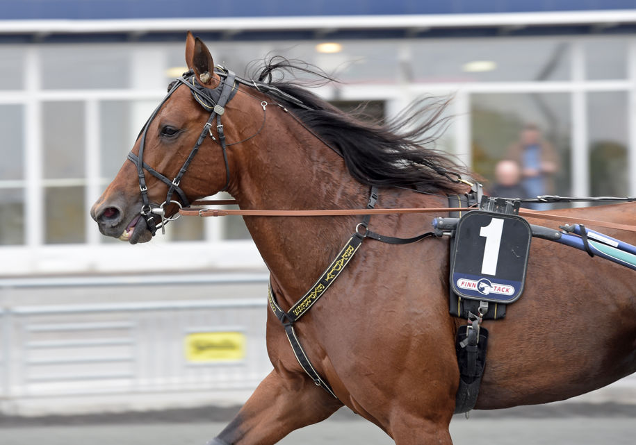Små förändringar i betäckningssiffrorna men avelskartan ritas om